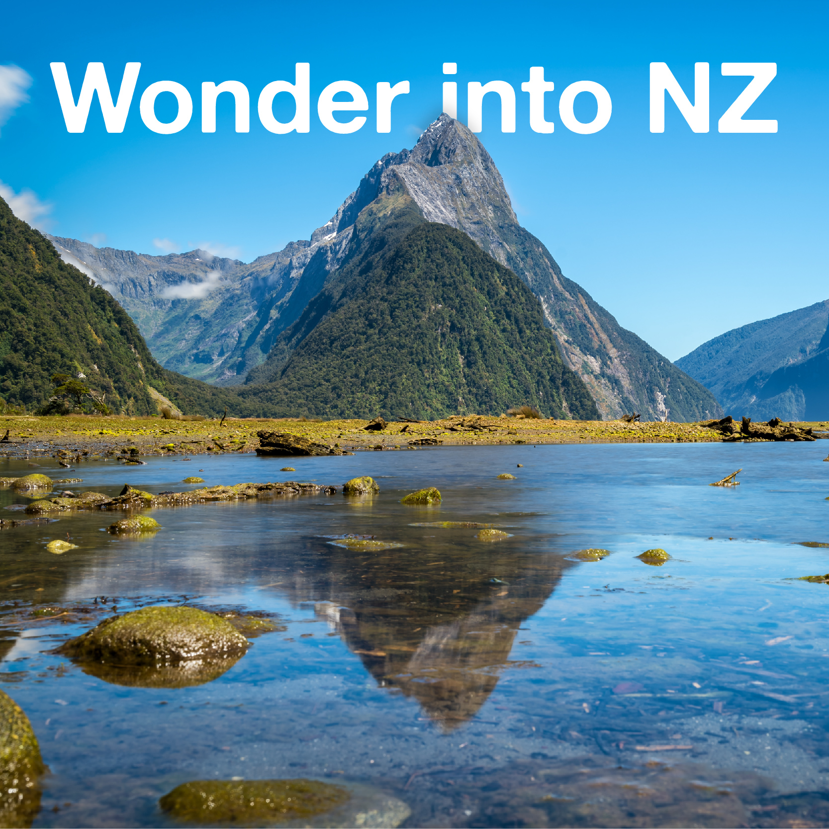 Ultimate New Zealand Experience – Turtle Down Under
